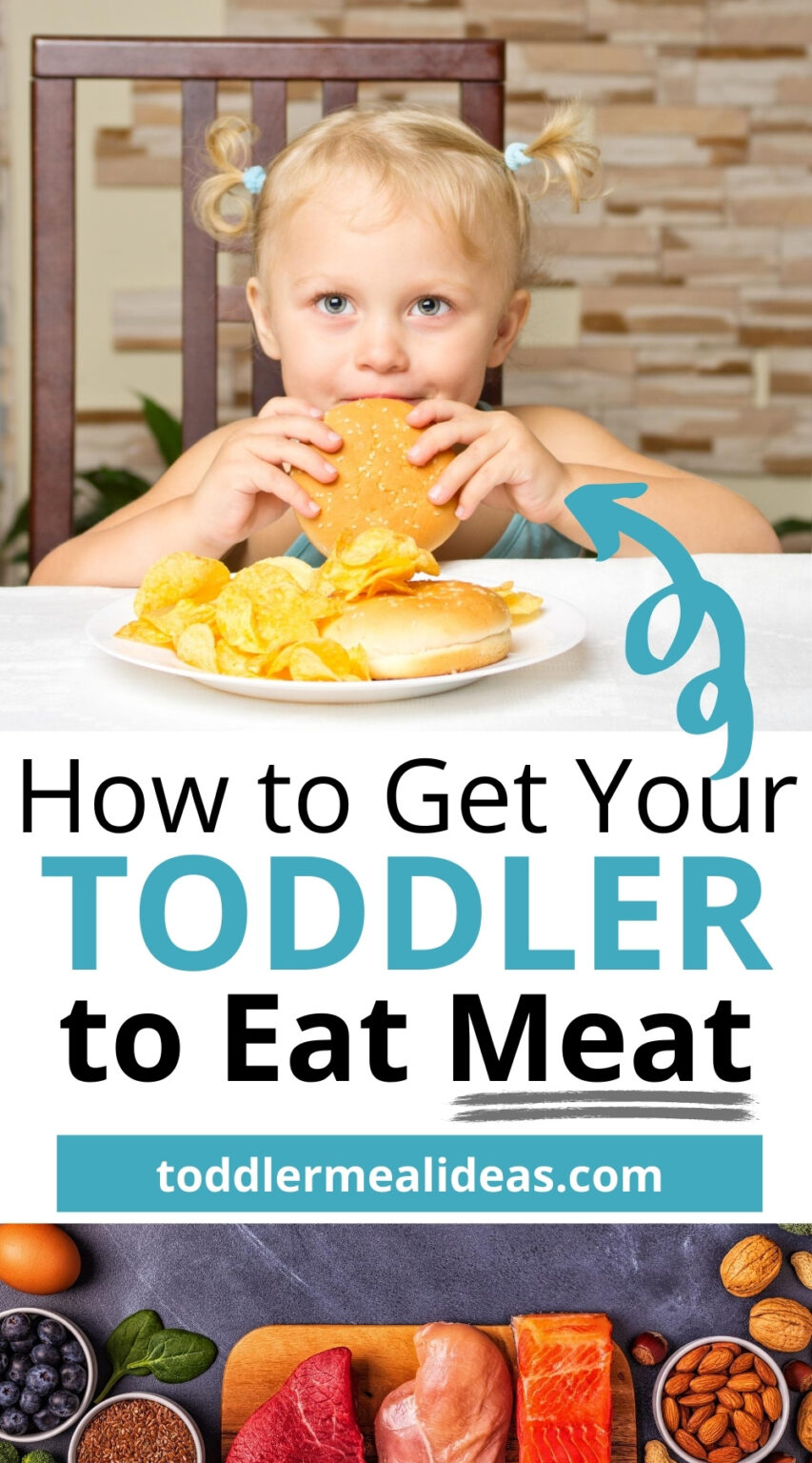 How To Get Your Toddler to Eat Meat - Toddler Meal Ideas